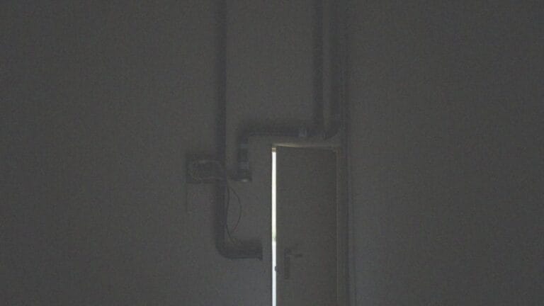 WLZ co to znaczy? Definicja i kluczowe funkcje wewnętrznej linii ...